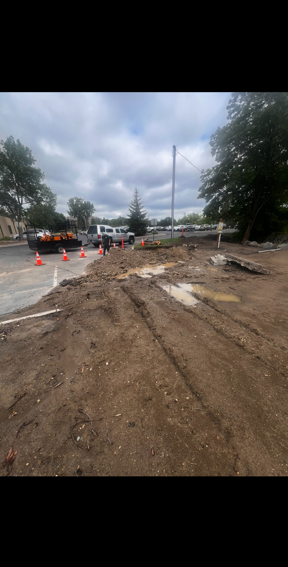 Grins Irrigation & Landscaping | Twin Cities MN